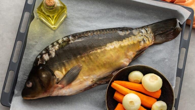Karpfen (Cyprinus carpio) » Steckbrief, Zuchtformen & mehr.